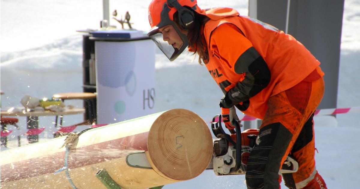 EM i skogbruksferdigheter på Kongsberg - Viken Skog