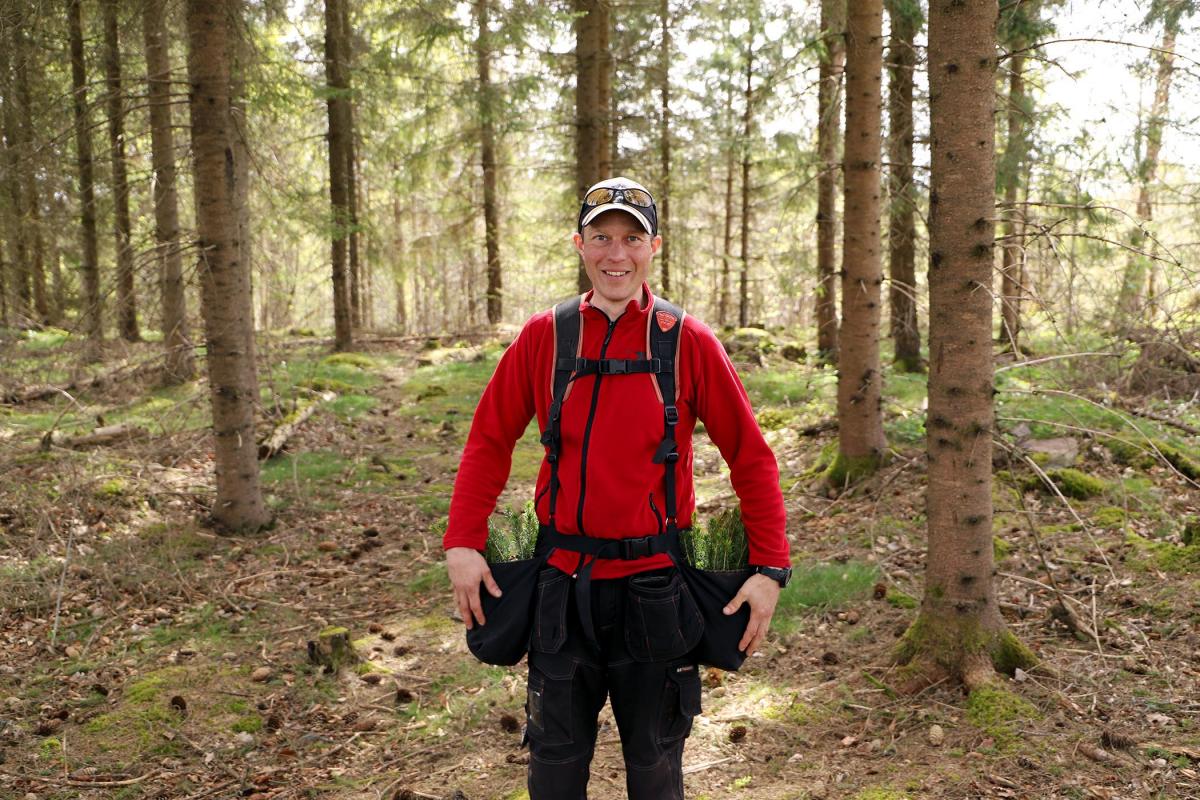 Setter ned titusener med skogplanter - Viken Skog