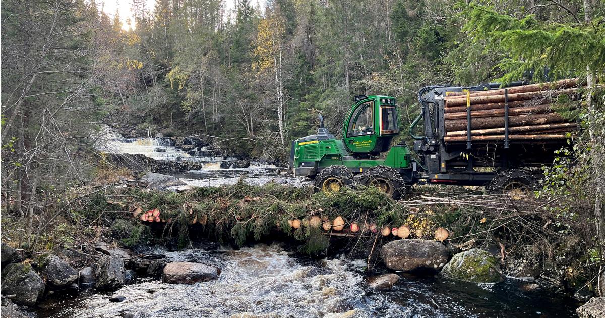 På tømmerbru over naturreservat - Viken Skog