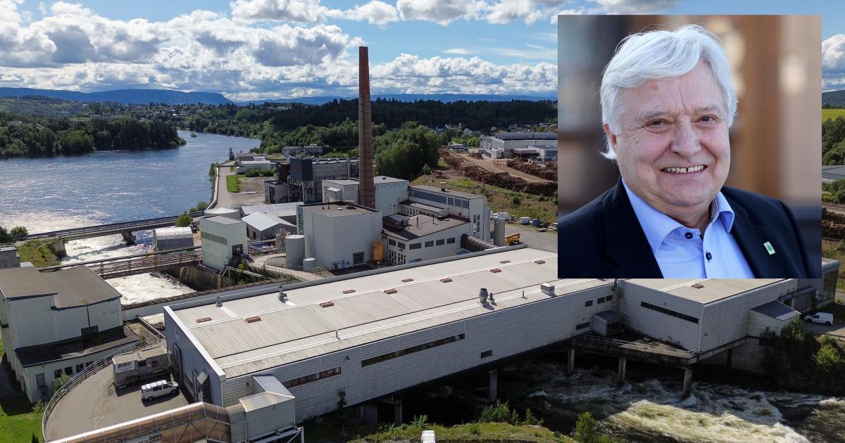 Rigget for satsing på tremassefabrikk - Viken Skog