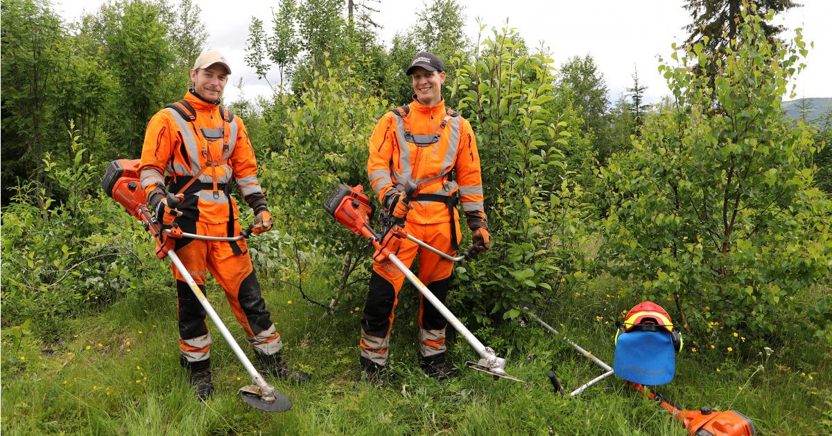 Brannmenn rydder skog - Viken Skog